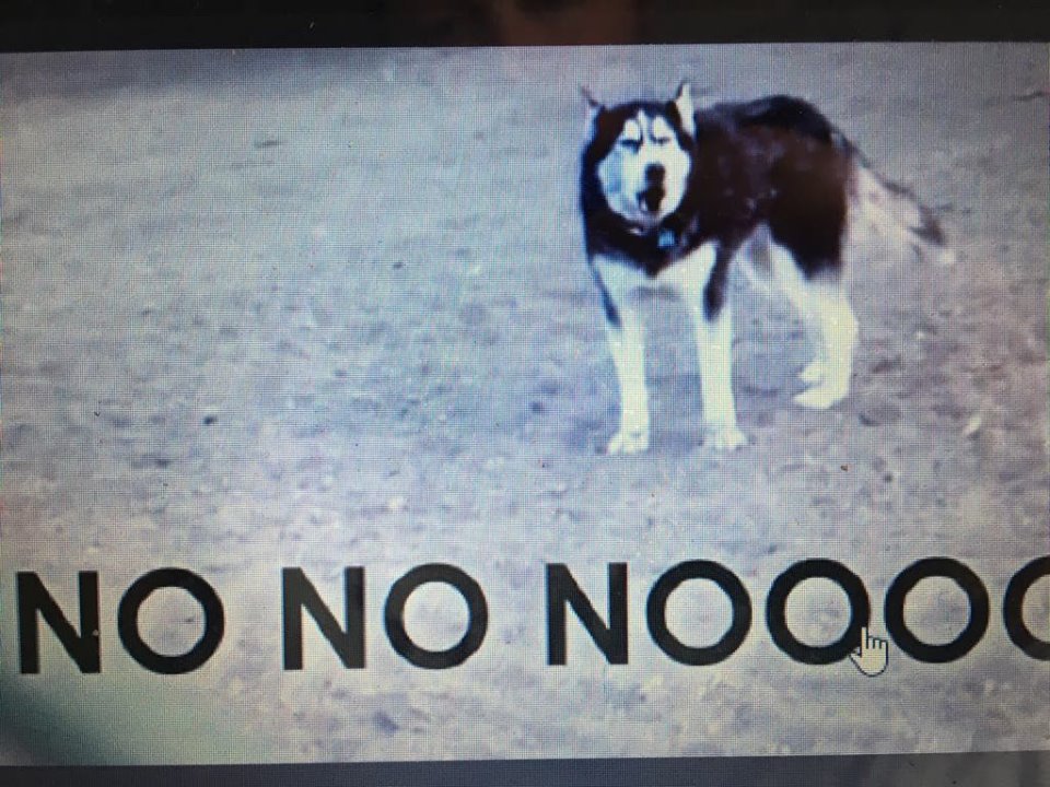 Russell: Negation and Innate perceptual Judgements | Philosophical ...